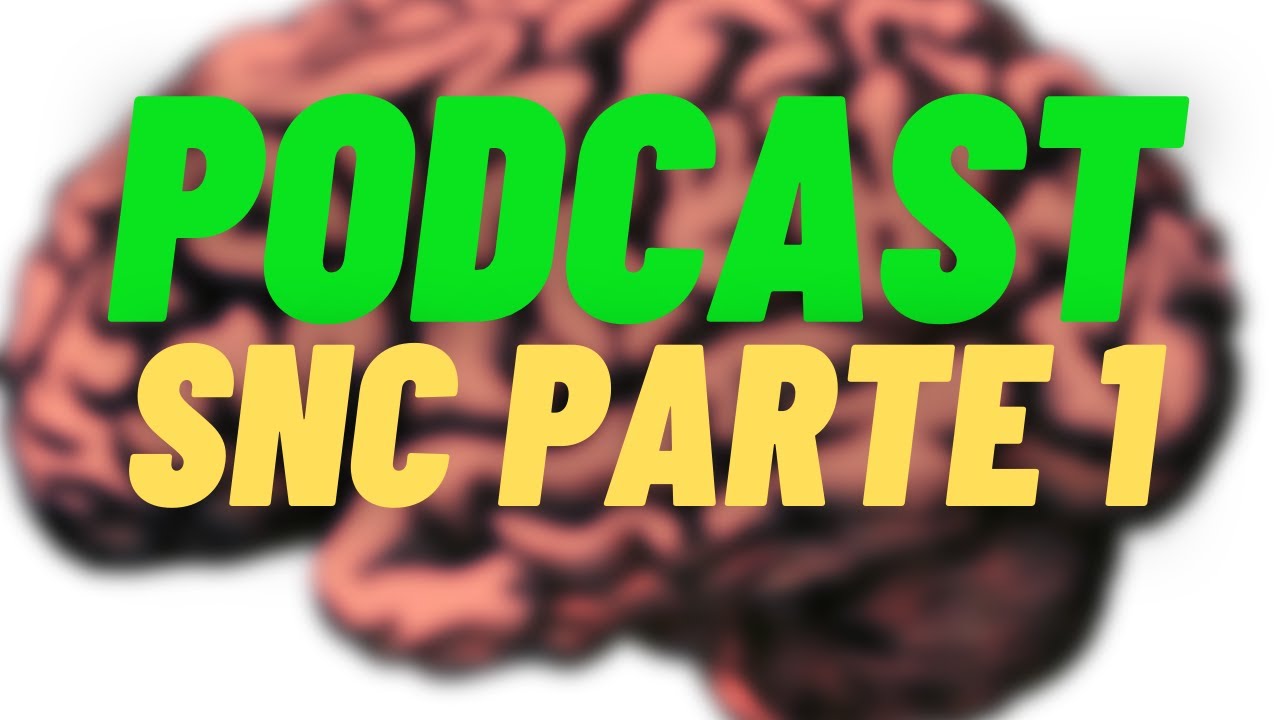 Podcast Generalidades del SNC Parte 1