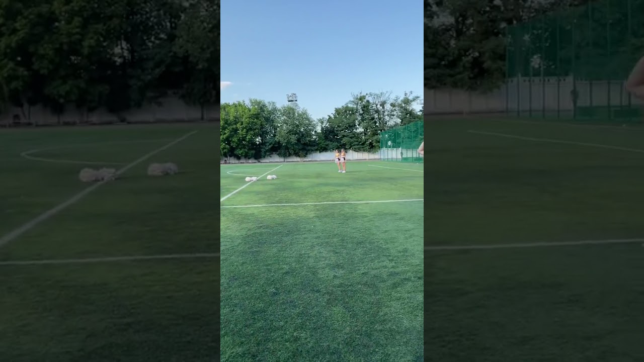 porristas demuestran toda su belleza con baile #shorts