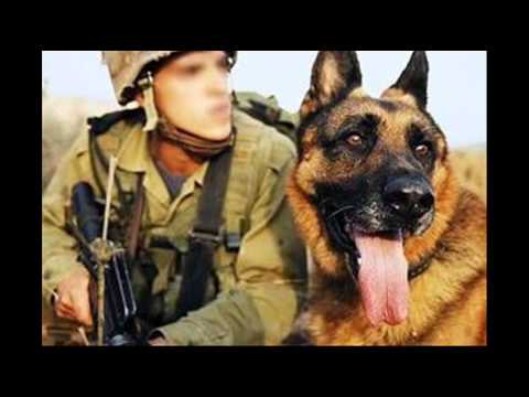 Israel IDF Oketz Unit Pin Tzhal Army Military | collectedcrook