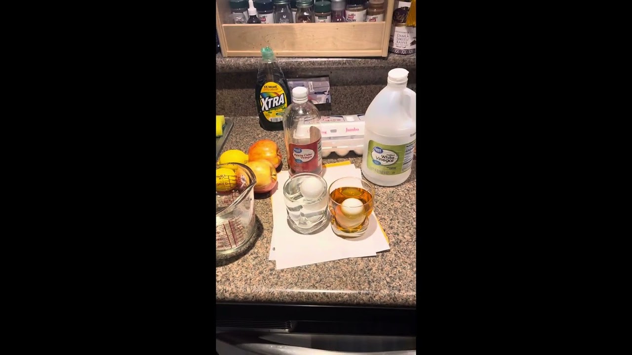 Experiment #3 Dissolving Eggshells in Vinegar