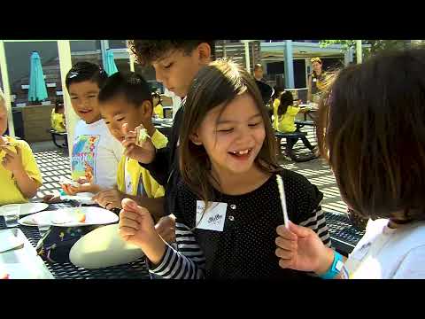 Stellar VBS - Day 1 Highlights