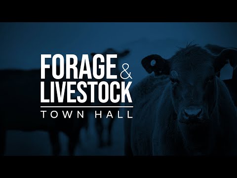 Insect Scouting Alfalfa – Forage & Livestock Town Hall (Full Video)