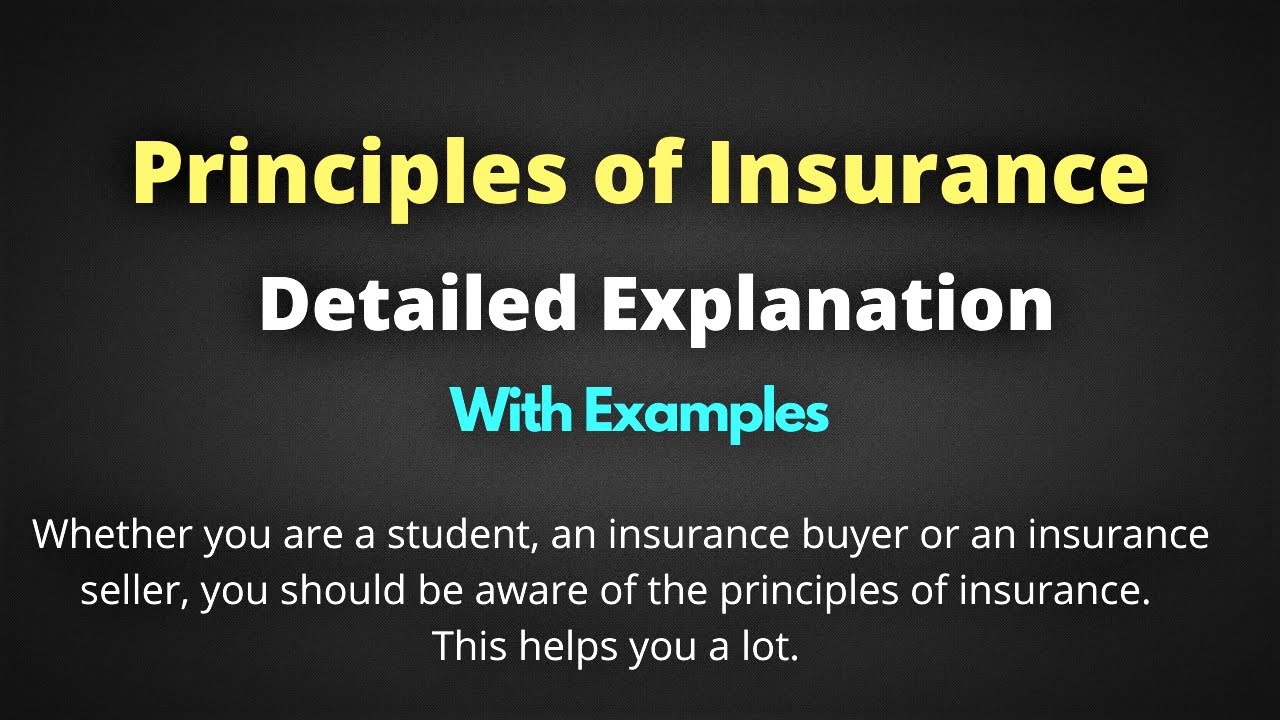 Understanding the Principles of Insurance: A Comprehensive Guide ...
