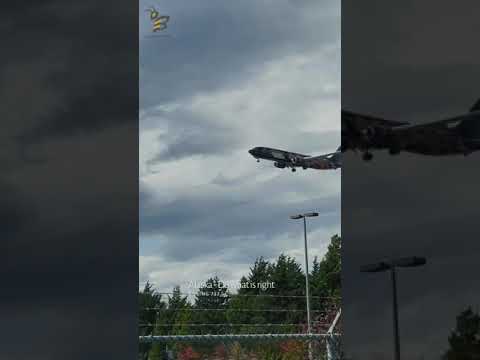 Plane Spotting at Seattle Tacoma Airport - Alaska Do What Is Right - Boeing 737 #shorts