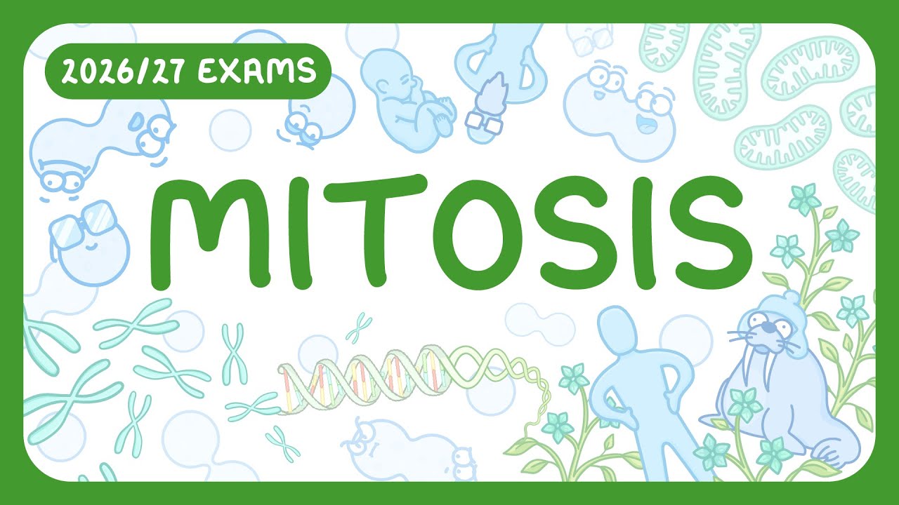 GCSE Biology - Mitosis | Chromosomes | Cell Division | Cytokinesis (2026/27 exams)