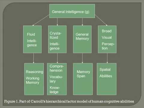 What is confirmatory factor analysis? by Paul Irwing
