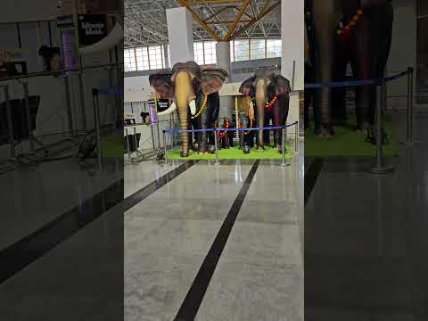 At Coimbatore airport #coimbatore #tamilnadu #trending #trendingshorts #trendingvideo