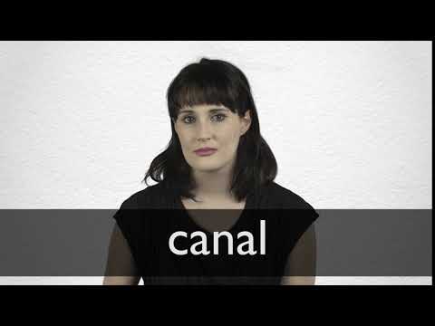 CANAL definition and meaning | Collins English Dictionary