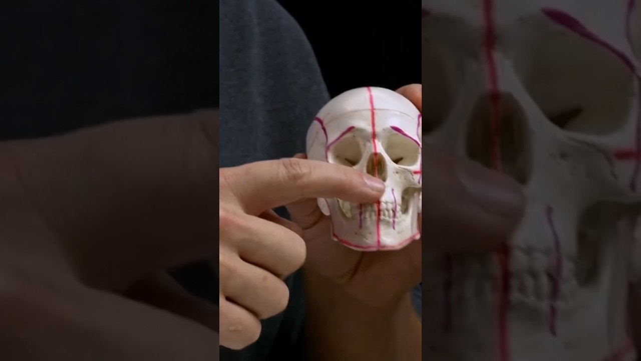 Drawing On A Skull 💀 For Artists.