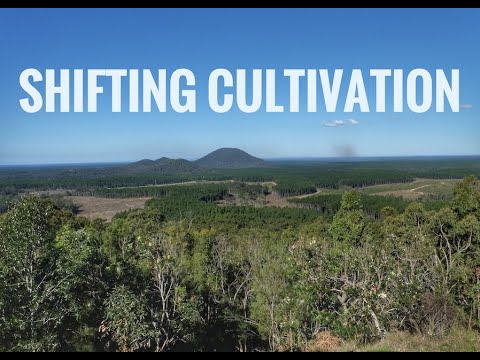 Shifting Cultivation in Tropical Rainforests