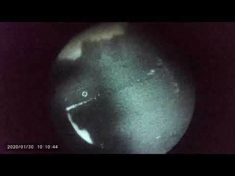 Passive aiming with Jerry C5 Thermal using EOTECH XPS3