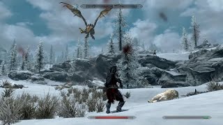 Skyrim Combat at Skyrim Special Edition Nexus - Mods and Community