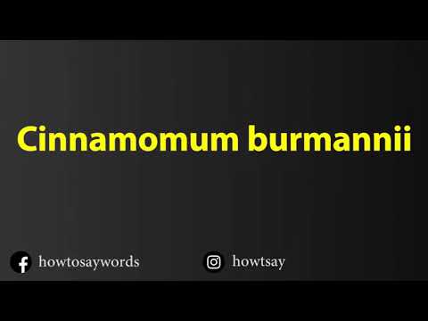 How To Pronounce Cinnamomum burmannii