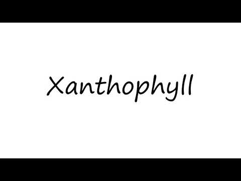 How to Pronounce Xanthophyll?
