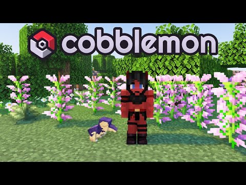 The Pokemon Journey is Back! | Cobblemon SMP