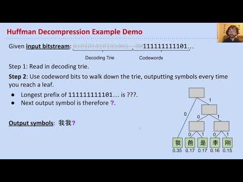 vid8 huffman encoding demo