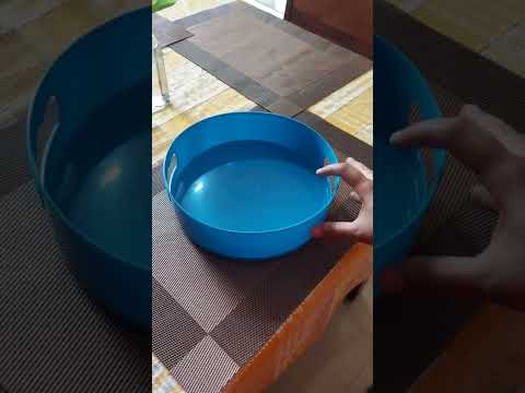 Plastic Trays at Best Price in India