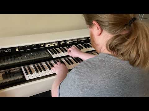Moog White Elephant Organ - CDX-0652 - Cordovox 1975 White | Reverb