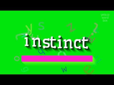 How to say "instinct"! (High Quality Voices)