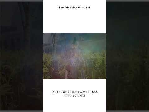 The first full film I photographed | #photography