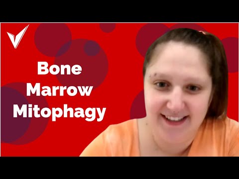 Mitophagy in Repair of Osteonecrosis
