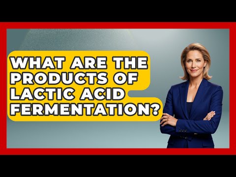 What Are The Products Of Lactic Acid Fermentation? - Biology For Everyone