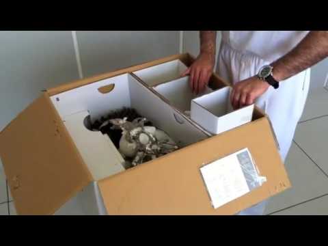 Lladro Carnival Fantasy Figurine 01011891 UnPacking