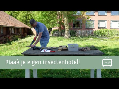 Bouw je eigen Wilgenrijk insectenhotel | Activiteiten in Wilgenrijk 2021