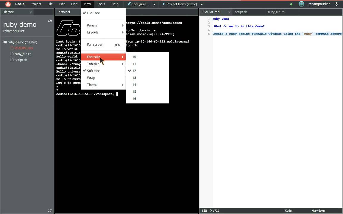 Ruby Introduction - Writing a first script, running a Ruby file, defining a method and testing IRB