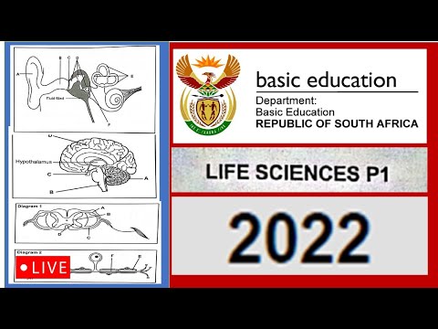 2022 paper 1, life sciences, grade 12, m.saidi