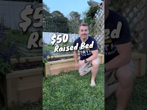 $50 DIY Raised Garden Beds!