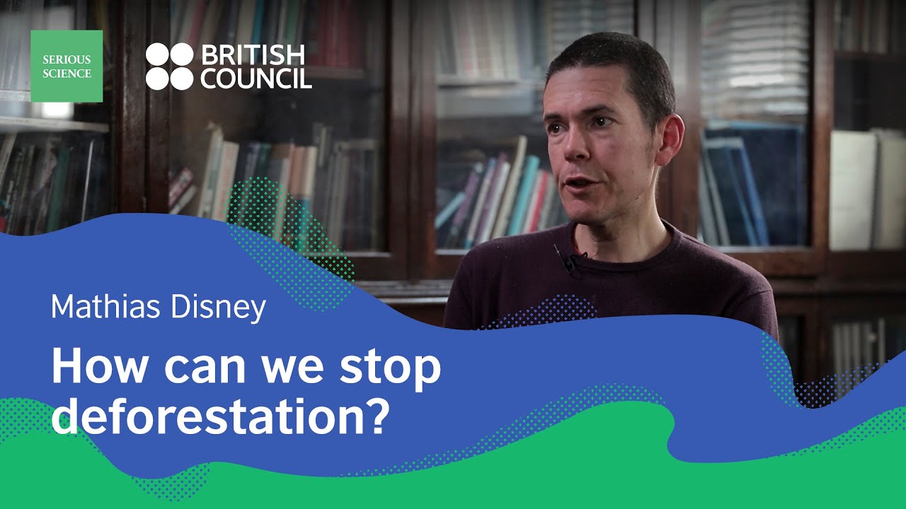 Forest Degradation — Mathias Disney / Serious Science