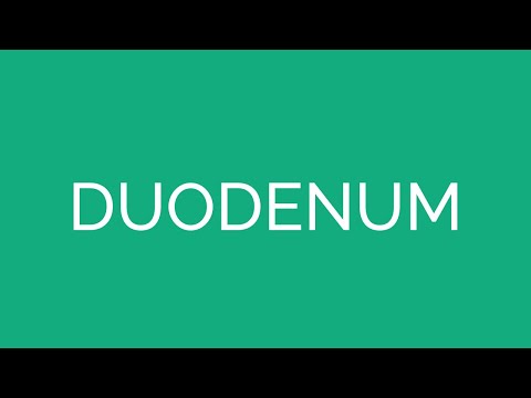 How To Pronounce Duodenum