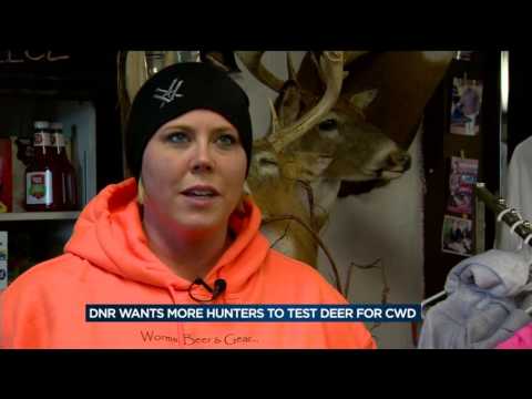 DNR encouraging hunters to test deer for chronic wasting disease