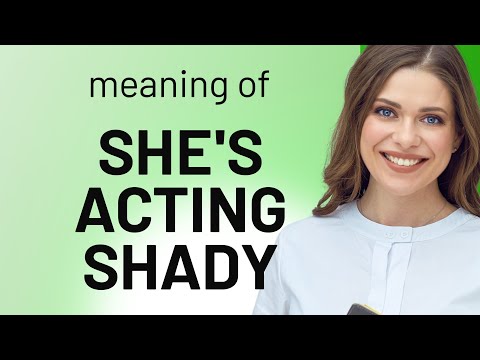 Unveiling the Shades of Meaning: "She's Acting Shady"