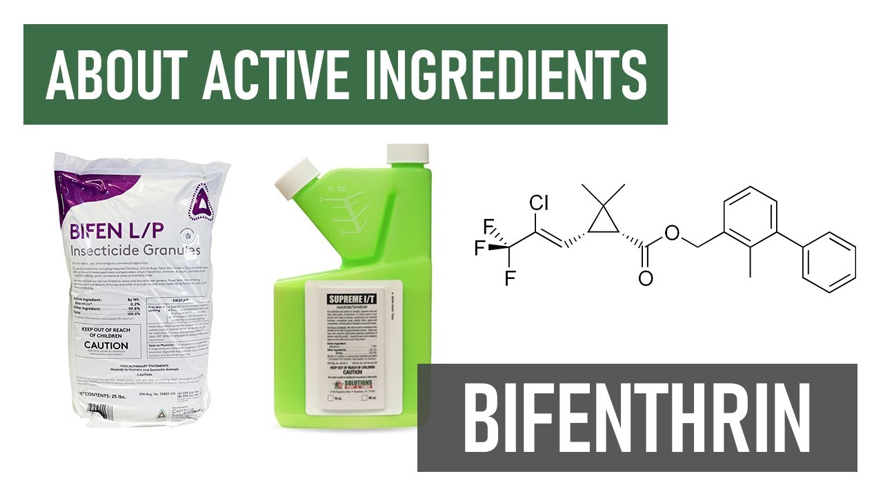 Bifenthrin | Active | Solutions Pest & Lawn