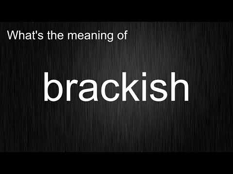 What's the meaning of "brackish", How to pronounce brackish?