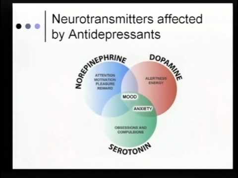 Medical Approach to Neuropathic Pain and Paresthesias