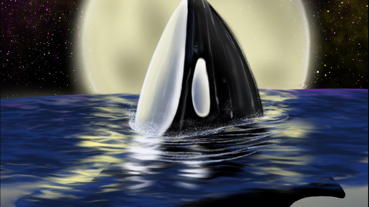 Ocra in the moonlight Digital Procreate Speedpaint #artforkids #digitalart #orca  @VividSeaArt