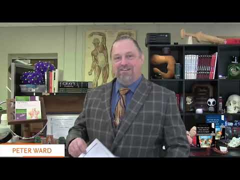 Netter Atlas of Human Anatomy, 8th Edition - Classic Regional Approach ...