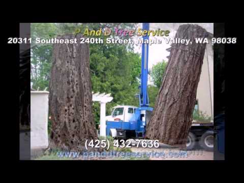Tree_Trimming