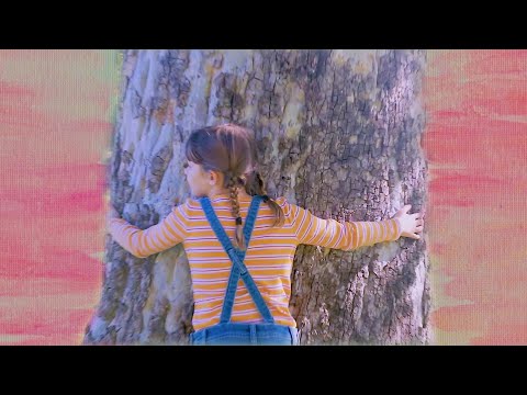 Tree Hugger (2020) - A Short Film