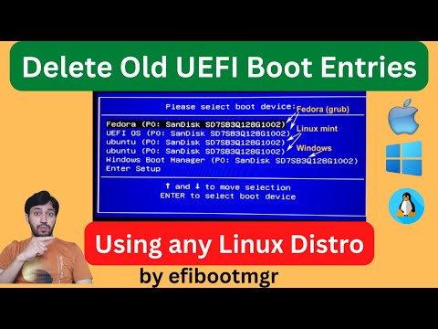 Delete Old Boot Entries in BIOS ( UEFI) | EFIBOOTMGR Tutorial | Change UEFI Boot Order