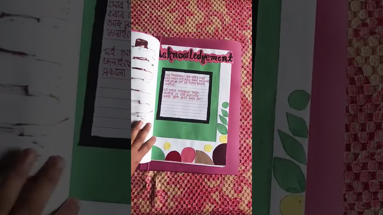 Portfolio designs✨