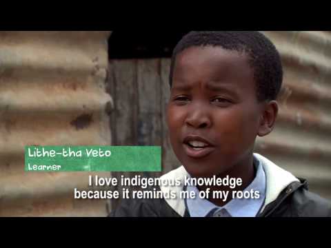 Ulwazi Lwakdala - Indigenous knowledge in Science