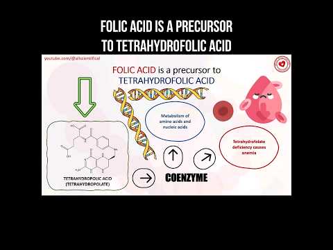 Folic acid is a precursor for tetrahydrofolic acid #folicacid #folate #anemia #coenzyme