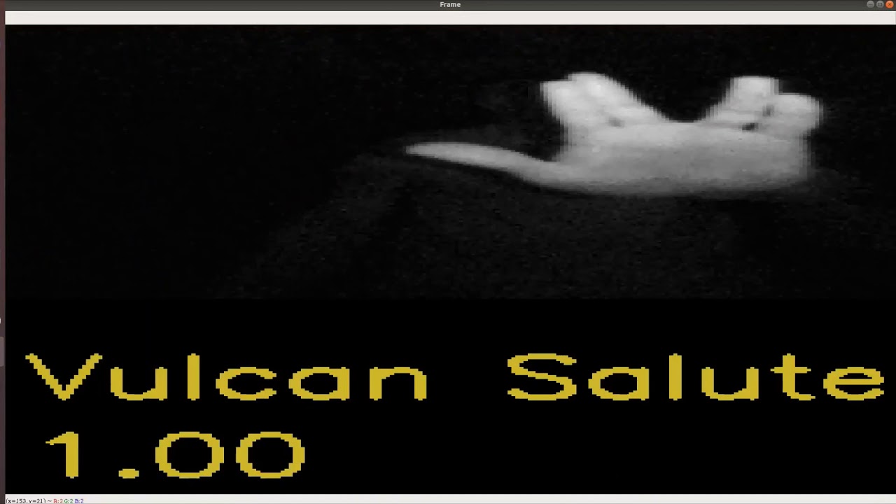 Real-time Gesture Recognition from Video