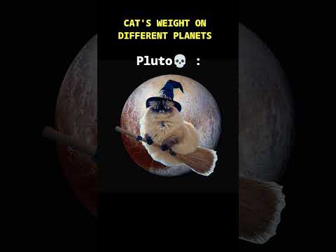 Funny Cat Meme | Space Meme #cats #catmemes