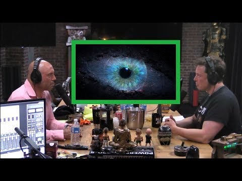 Joe Rogan Podcast | Elon Musk On The Multiverse, Simulation & Virtual Reality