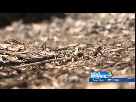 WEED ABATEMENT